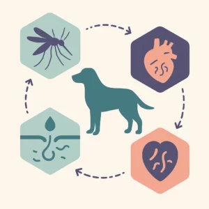 Vermi nelle feci del cane: sintomi, rischi per l’uomo e rimedi efficaci